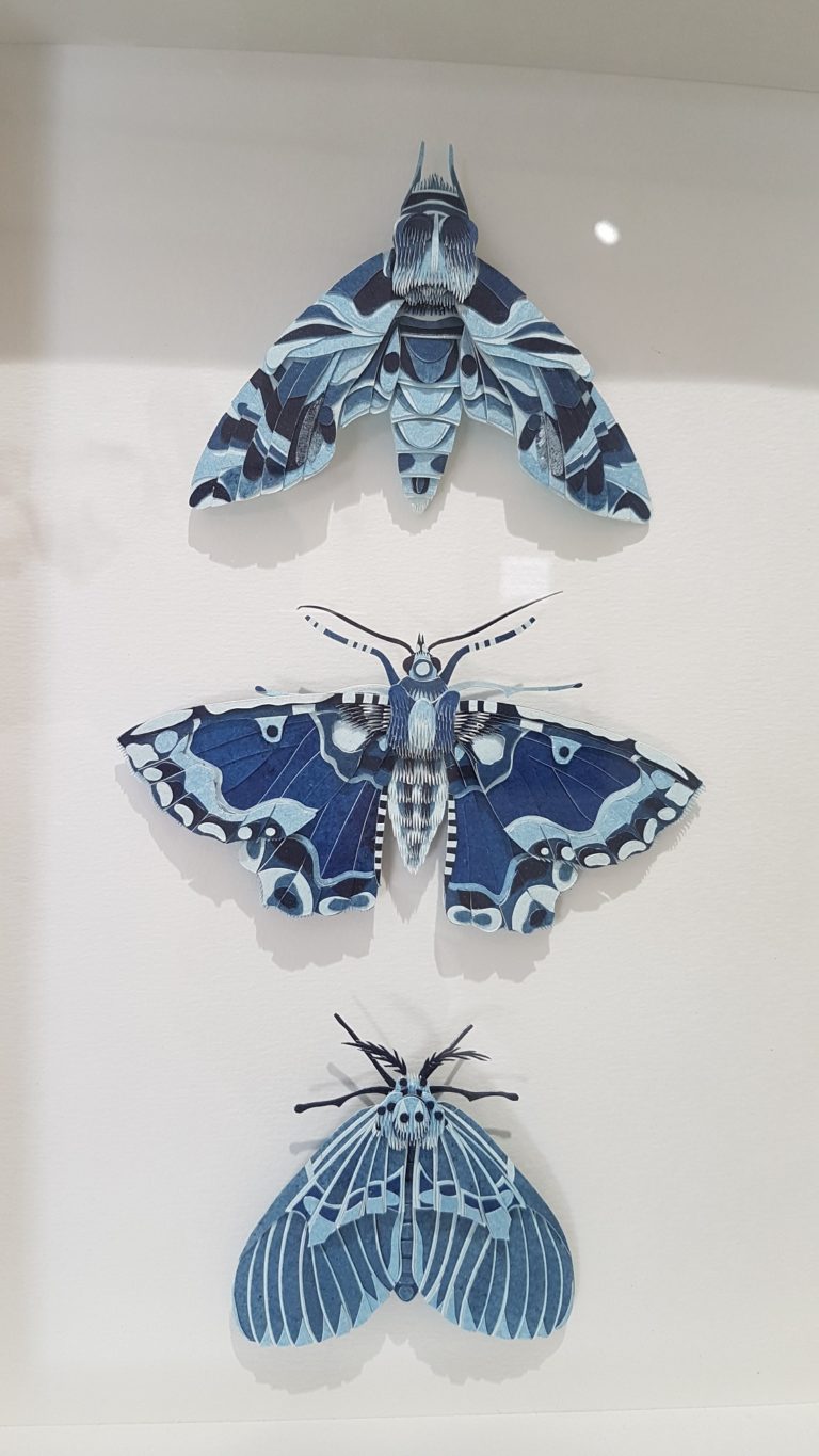 Indigo Museum Ahmedabad - Bindu Gopal Rao, Freelance Writer & Photographer