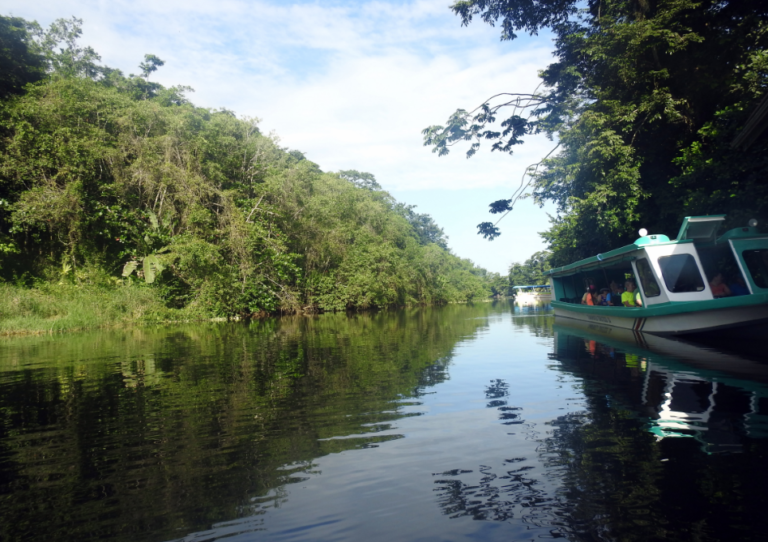 Exploring the Wild - Puerto Limon - Bindu Gopal Rao, Freelance Writer ...