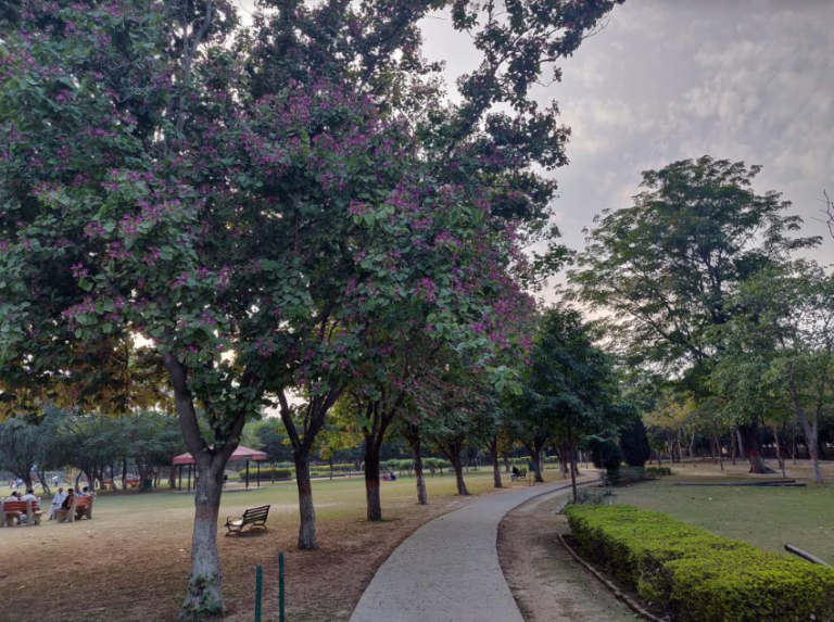 Karnal Travelogue - Bindu Gopal Rao, Freelance Writer & Photographer