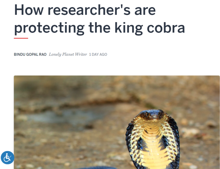 Agumbe and Cobra Research - Bindu Gopal Rao, Freelance Writer ...