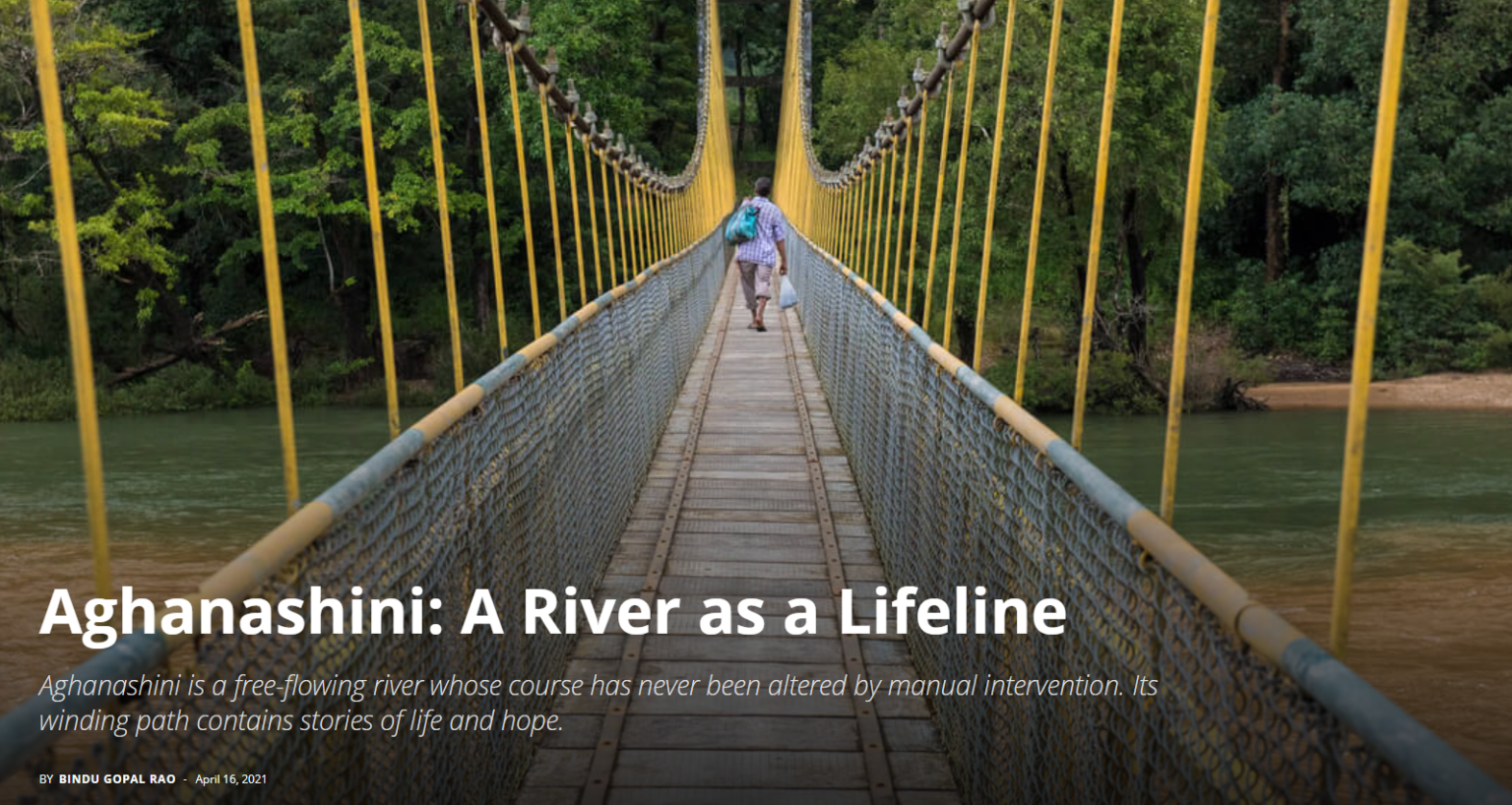 In the footsteps of Aghanashini River - Bindu Gopal Rao, Freelance ...
