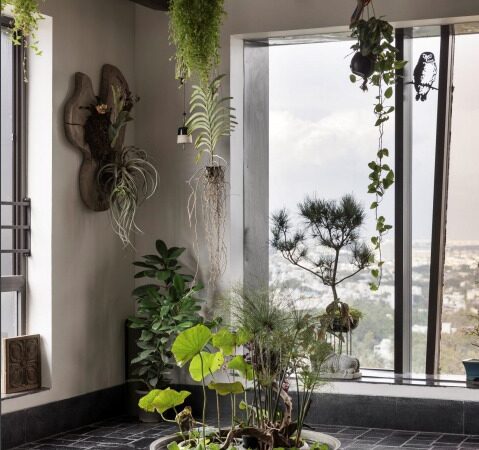 Bindu Gopal Rao, Freelance Writer & Photographer - My tryst with ...