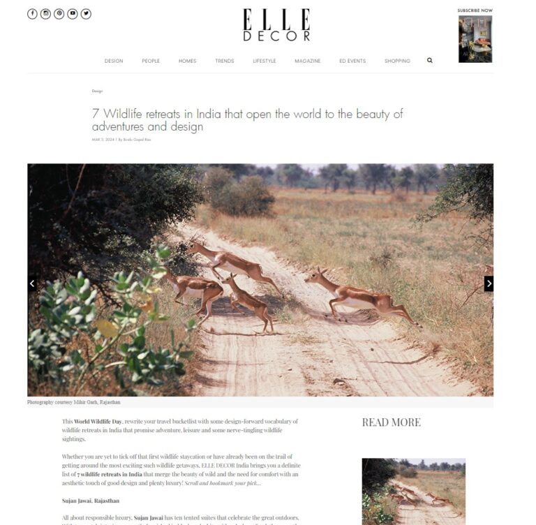 Wildlife Retreats for World Wildlife Day - Bindu Gopal Rao, Freelance ...