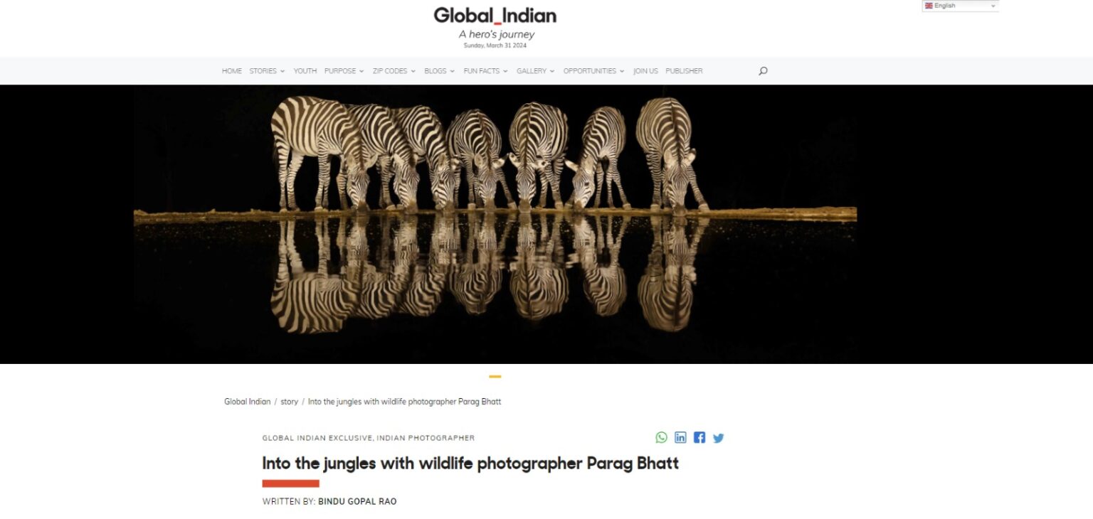 Parag Bhatt - Bindu Gopal Rao, Freelance Writer & Photographer