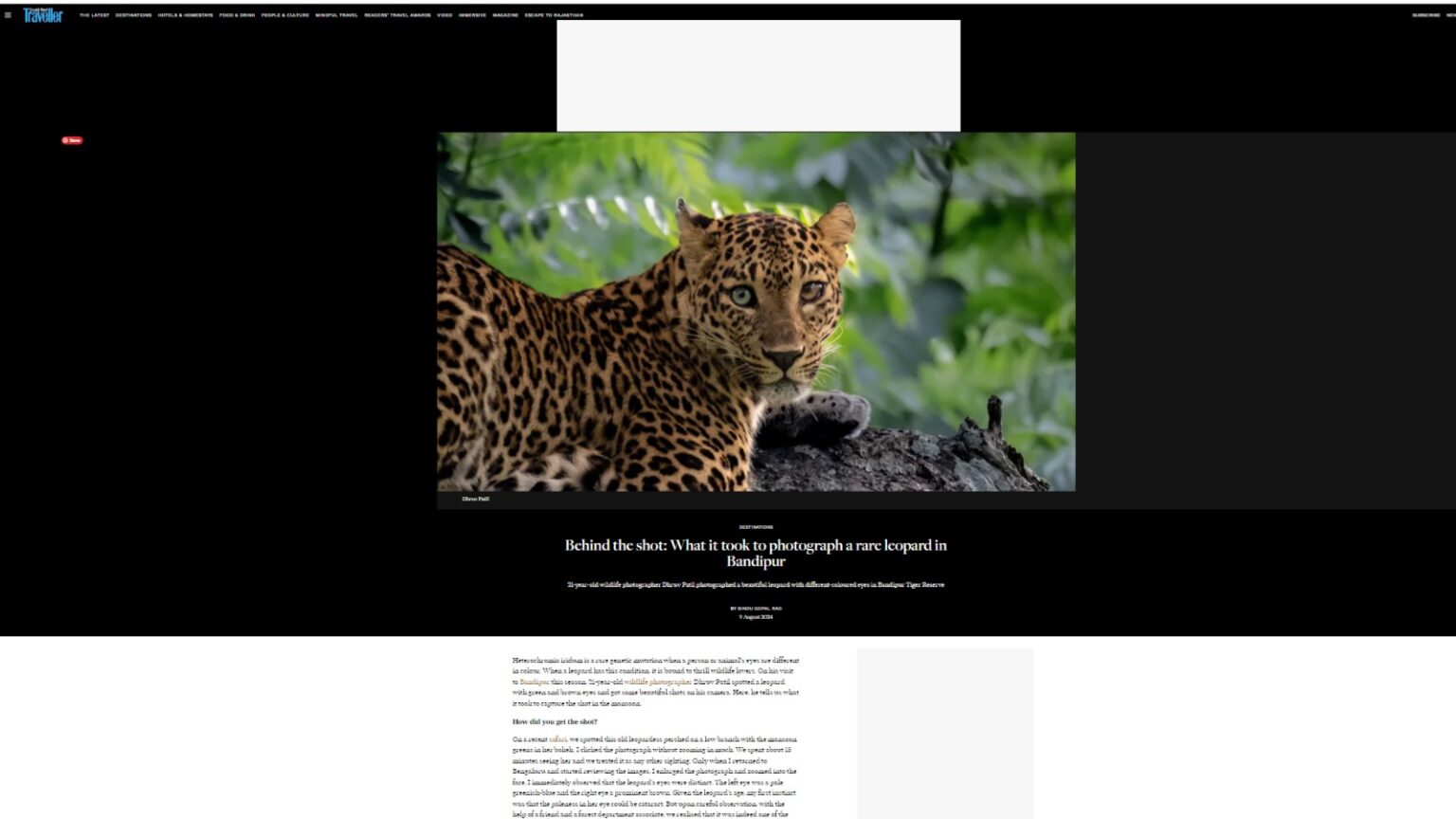 Leopard with Heterochromia Iridum - Bindu Gopal Rao, Freelance Writer ...